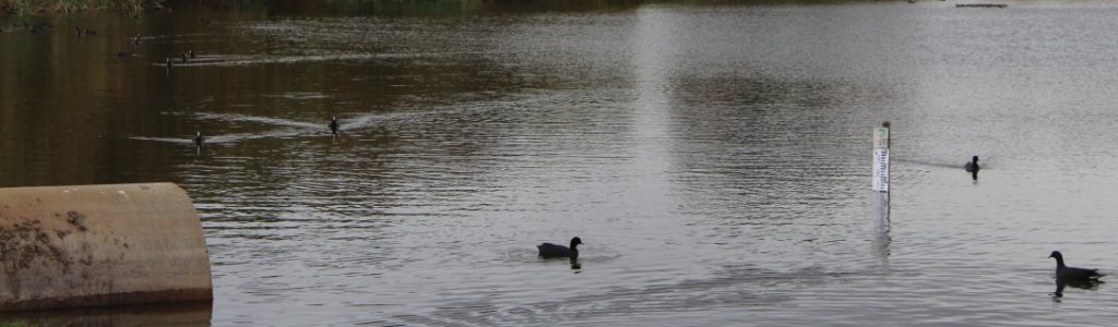 Environmental Monitoring Perth | Site Env Monitoring Systems Near ...